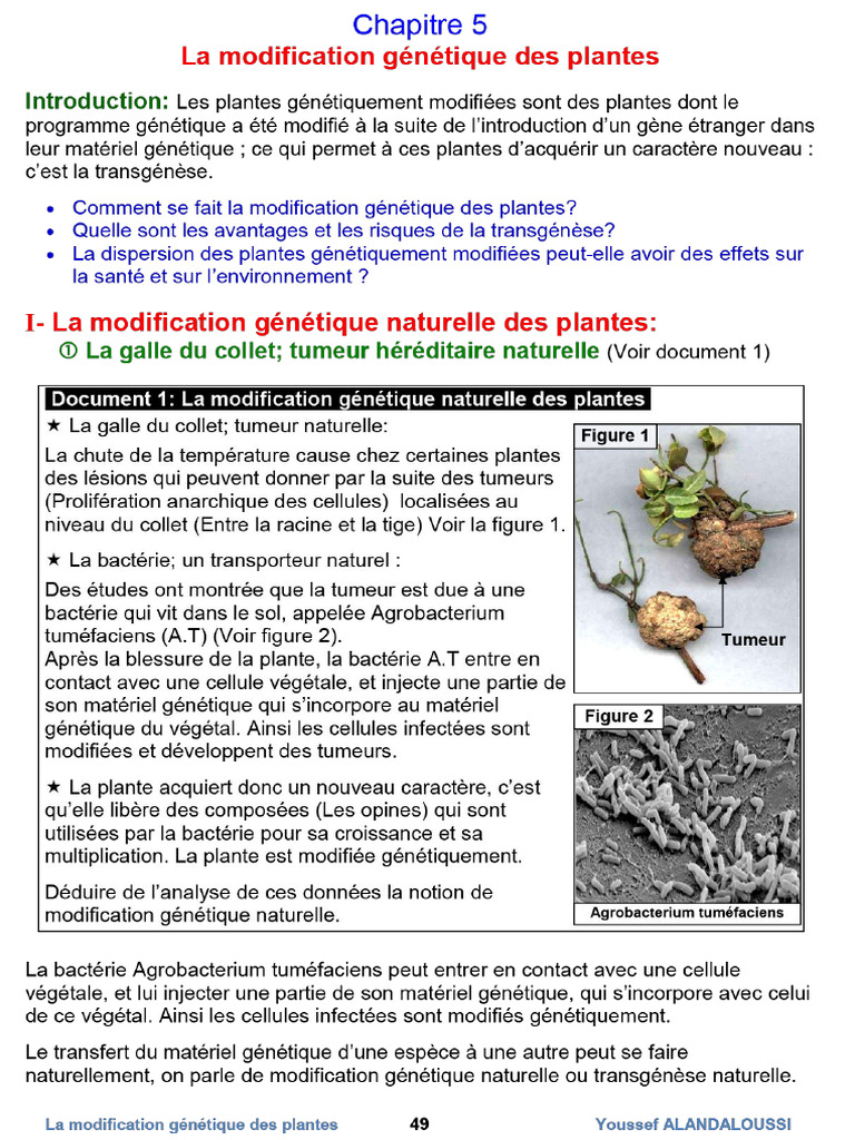 Cours TC SC Unit2 5 | PDF
