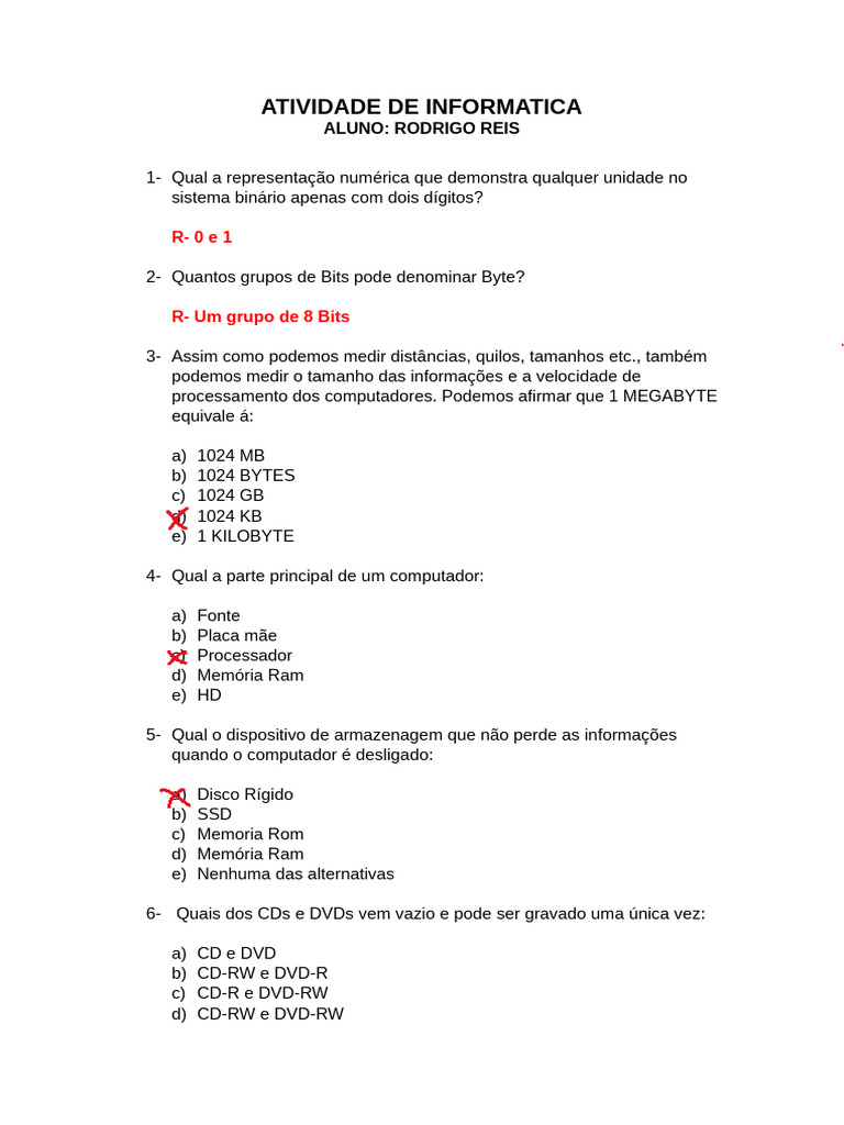Atividade Informatica - Rodrigo Reis | PDF | Jogos e Atividades | Computadores