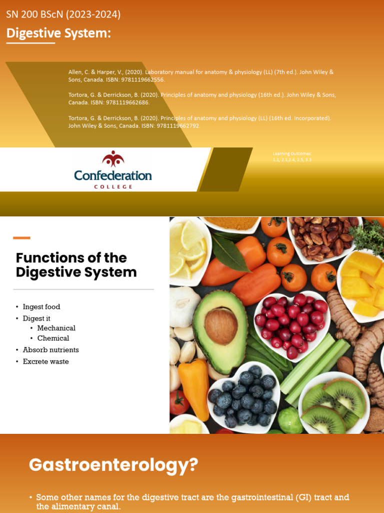 SN200 Digestive System Presentation | PDF | Digestion | Stomach