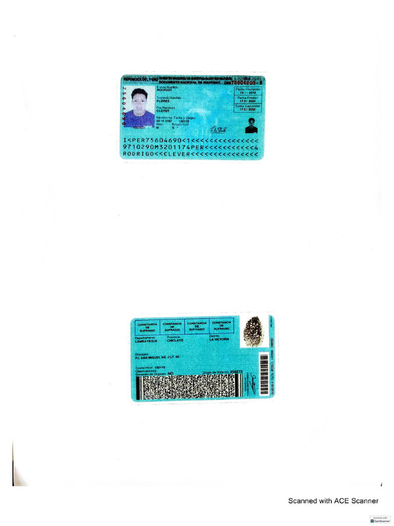 ACE Scanner_2024_10_02 | PDF