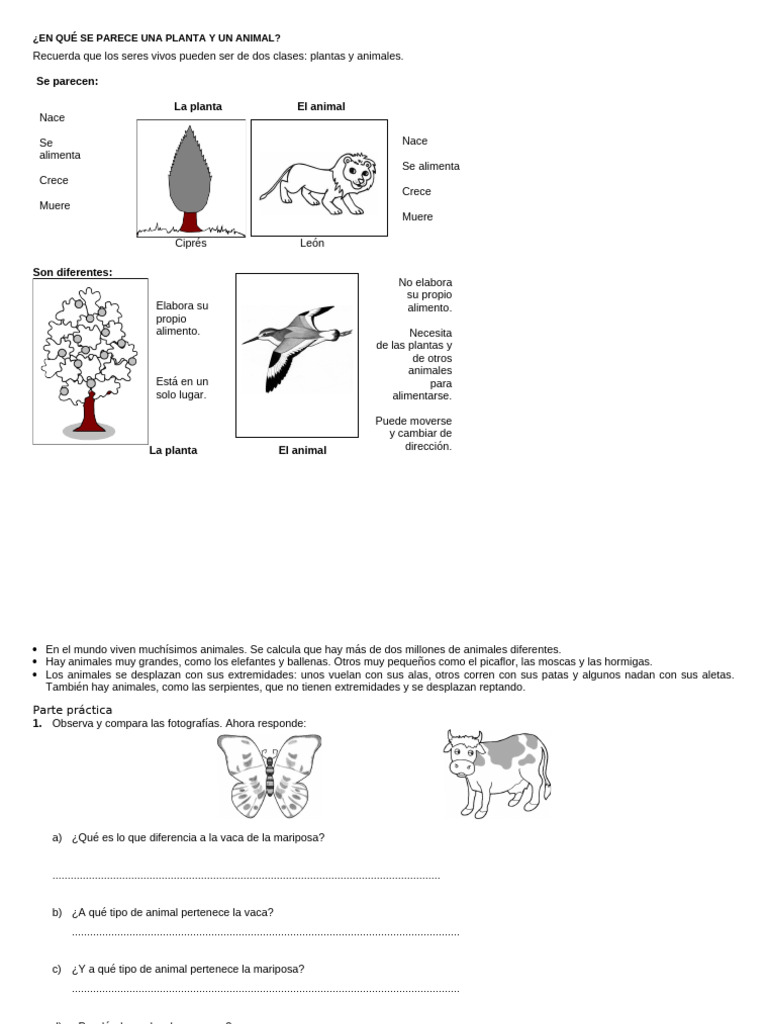 Caracteristicas de Los Animales para Segundo de Primaria | PDF ...