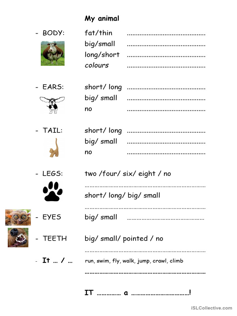 My Animal | PDF | Cooking, Food & Wine