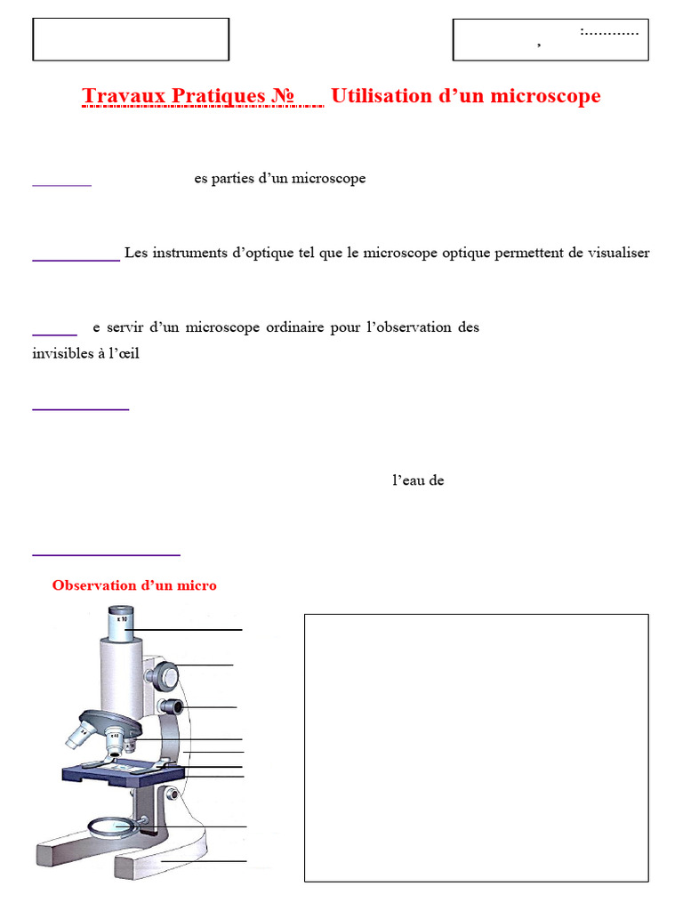 TP 1 - Utilisation D'un Microscope | PDF | Microscope | Optique