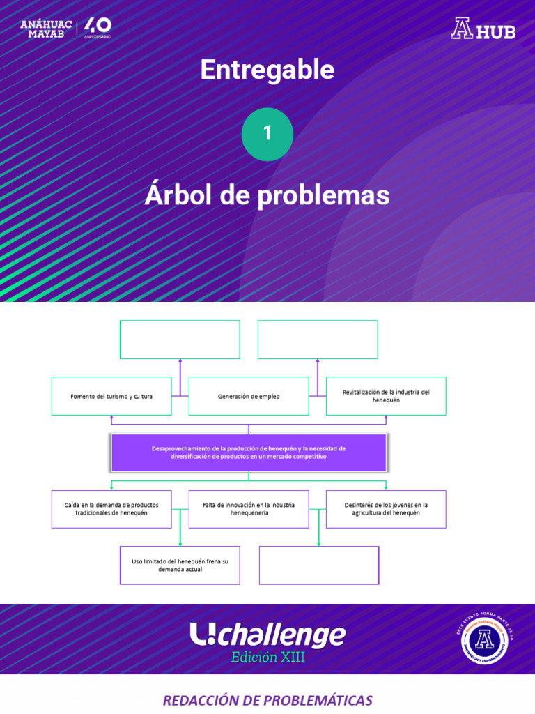 Portafolio Uchallenge XIII | PDF | Innovación | Bebida