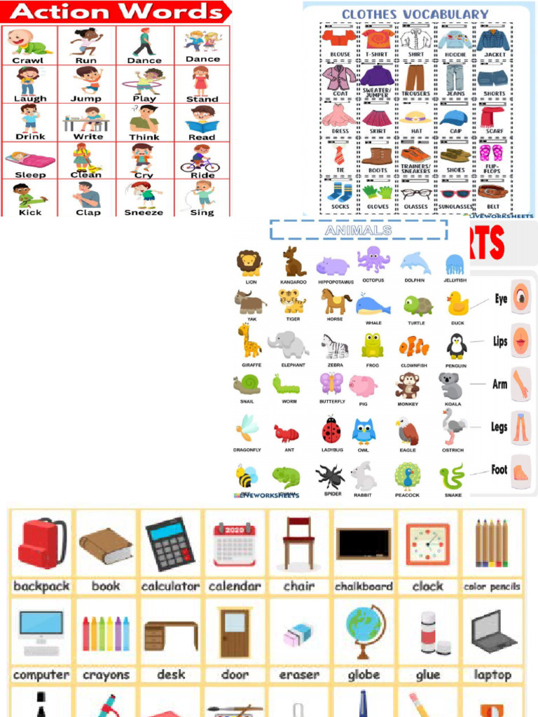 Picture Dictionary Material | PDF