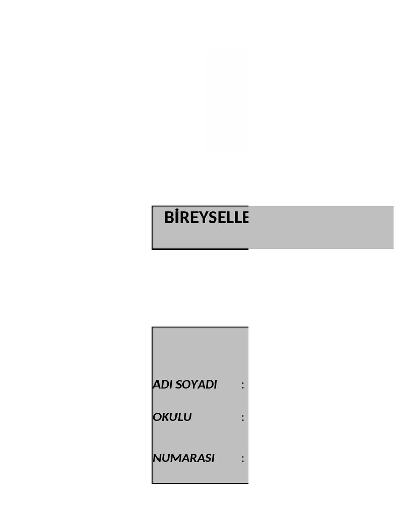 BEP Ornek Format Excel | PDF