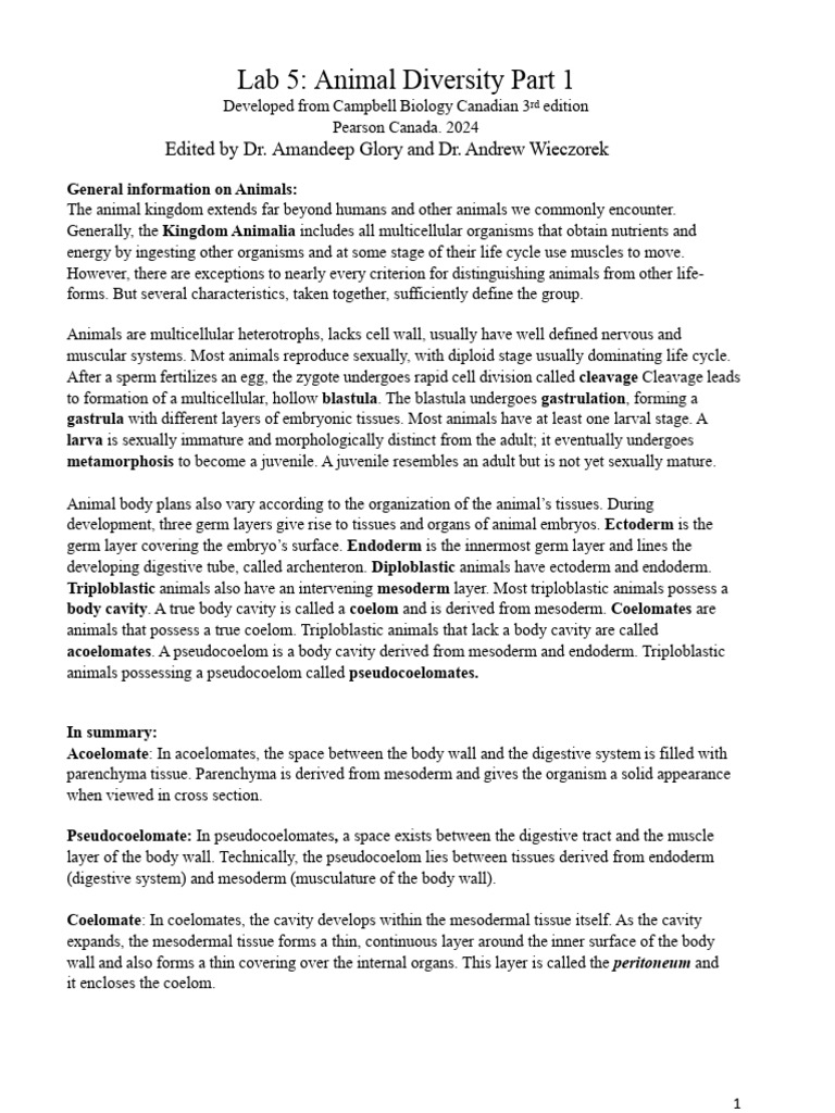 Lab 5 - Invertebrates Part 1 | PDF | Embryo