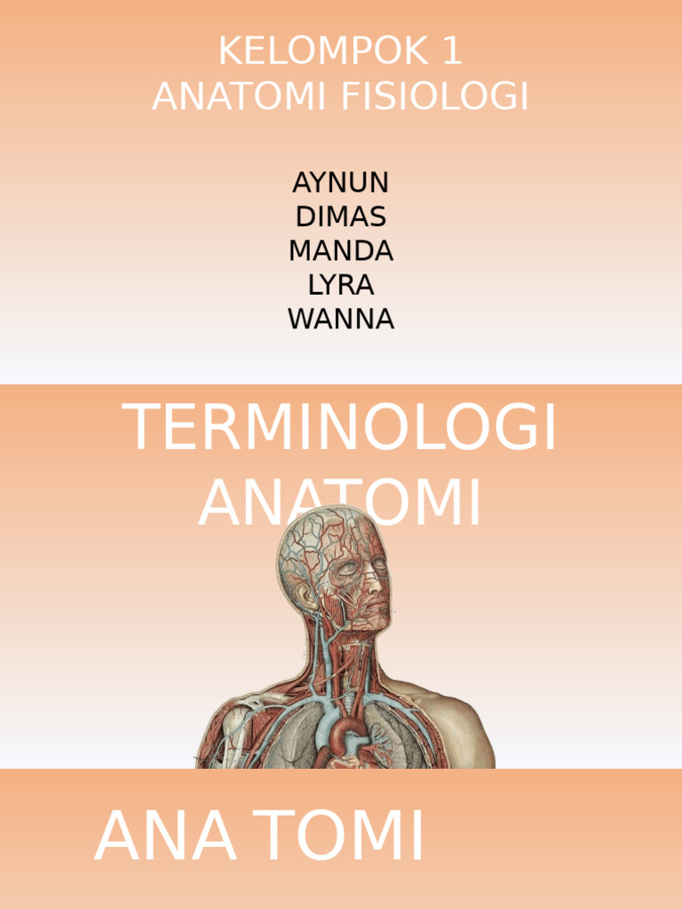 Terminologi dan Anatomi Manusia | PDF