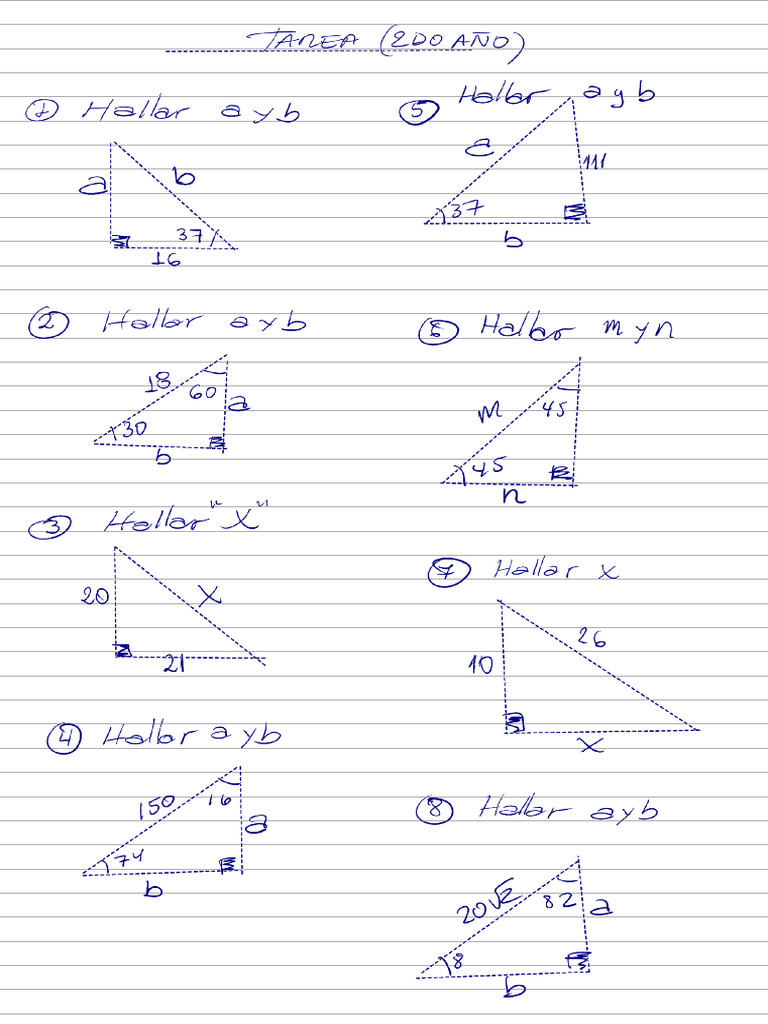 Tarea Trigo 2do | PDF