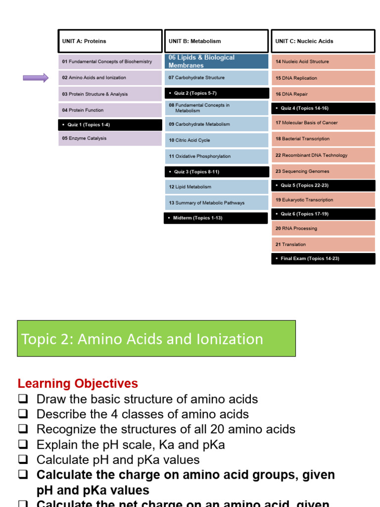 biochem - Topic 2 | PDF | Amino Acid | Acid Dissociation Constant