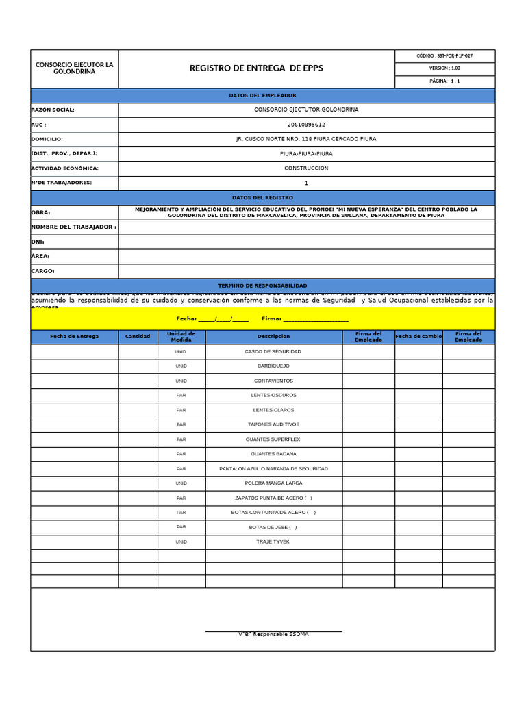 Formato de Entrega de Epps | PDF