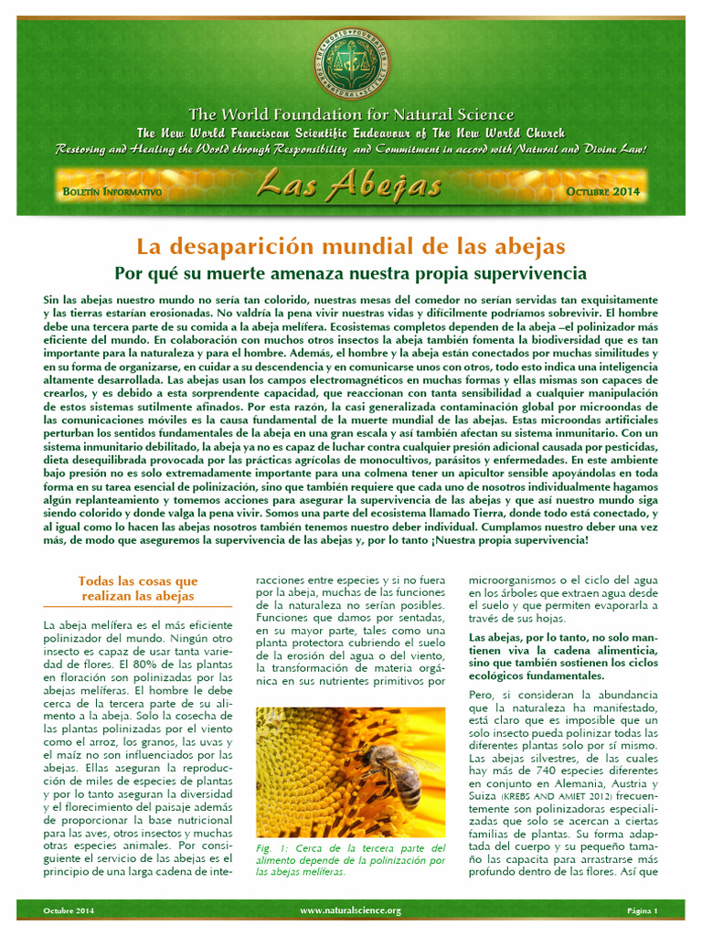 2017 01 07 Wfns Factsheet Bees Spanish Web | PDF | Abejas | Apicultura
