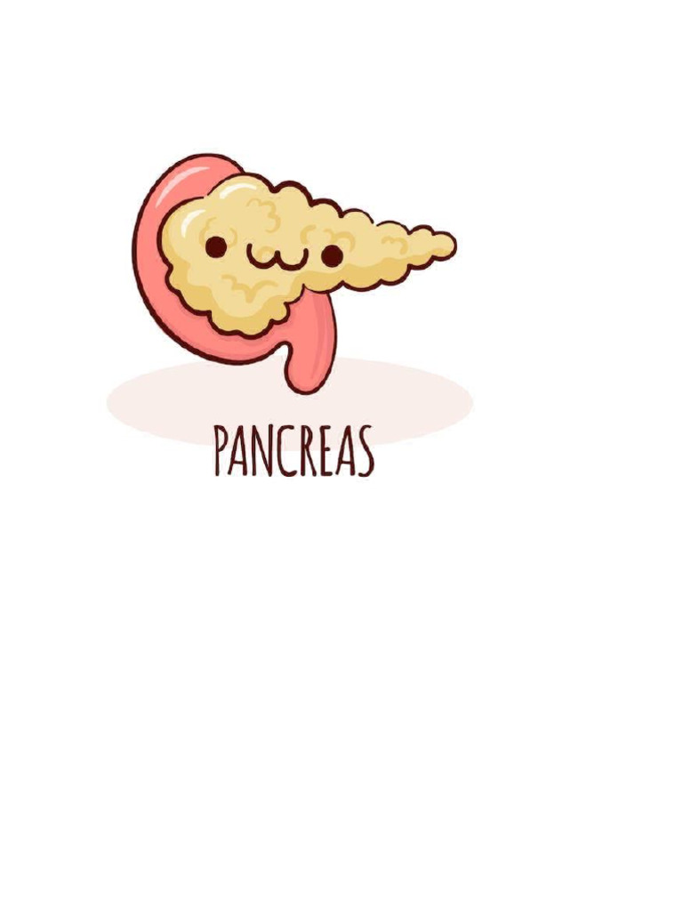 Pancreas | PDF