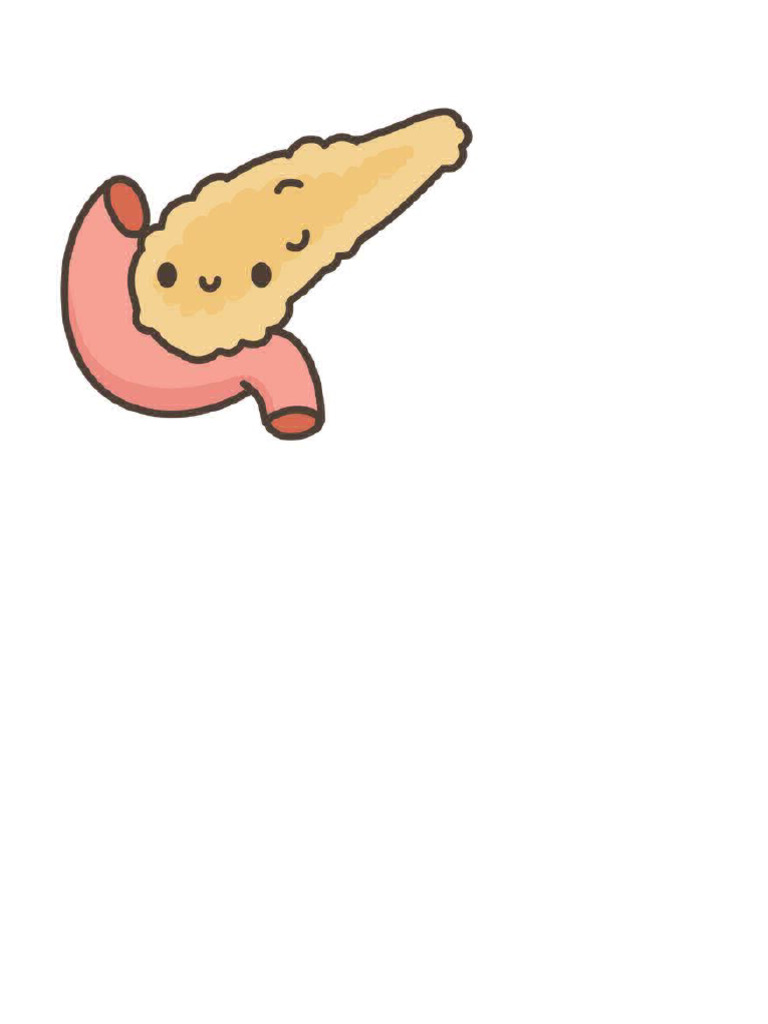 Pancreas 2 | PDF