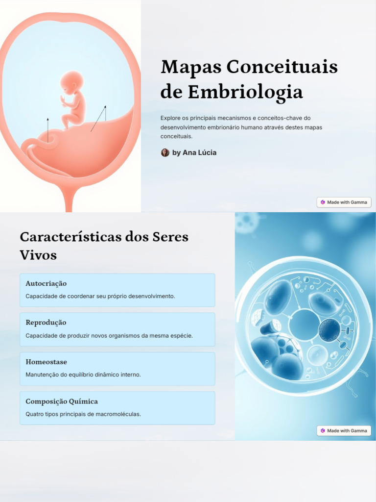 Mapas Conceituais de Embriologia | PDF | Bem-estar