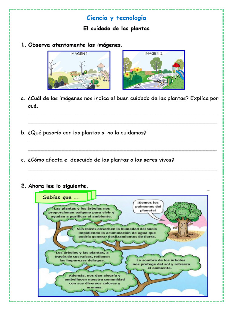 10 OCTUBRE CyT FICHA EL CUIDADO DE LAS PLANTAS | PDF