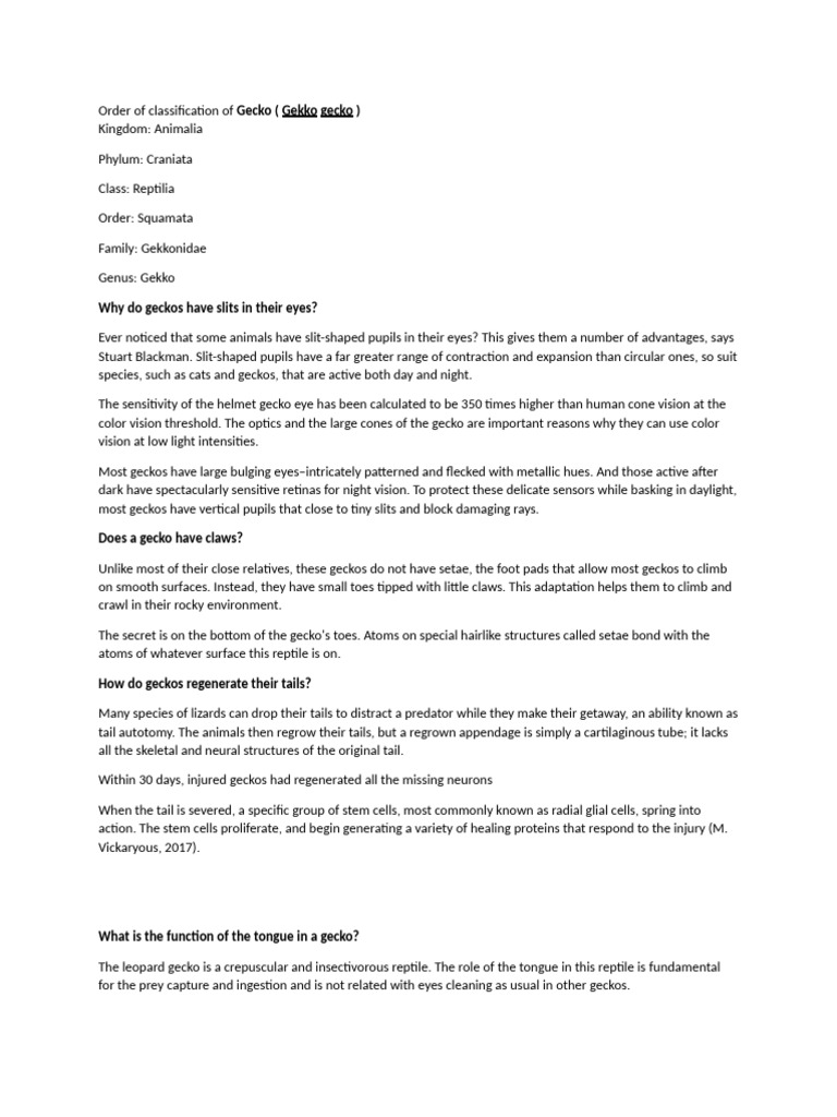 Order-of-classification-of-Gecko | PDF | Human Digestive System | Digestion