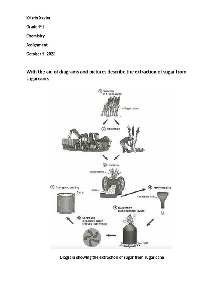 Sugar Cane To Sugar | PDF