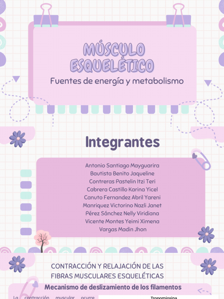 Músculo Esquelético Pdf