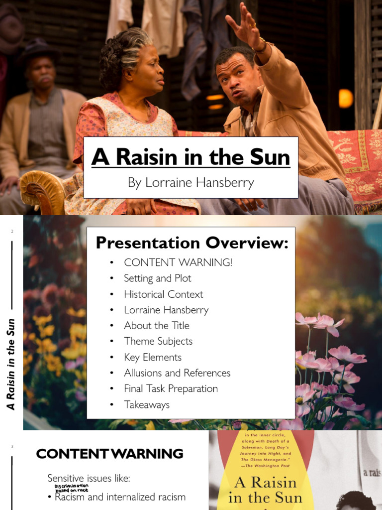 A Raisin in the Sun Study Guide | PDF