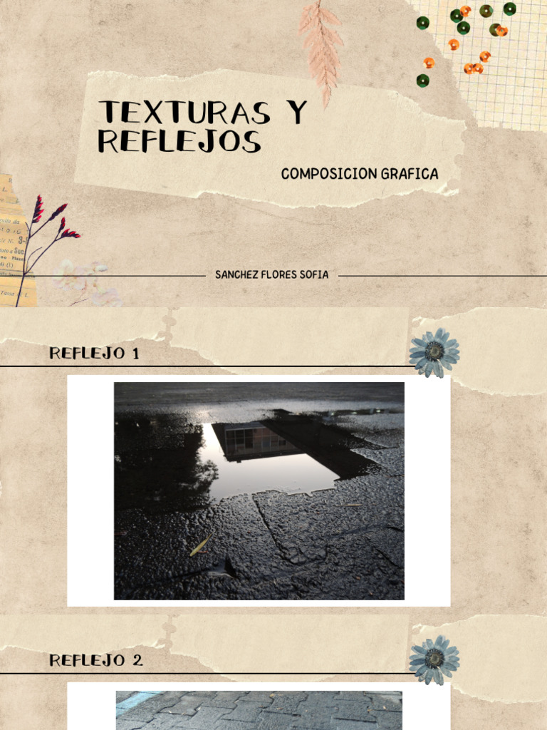 Texturas y Reflejos en Composición Gráfica | PDF
