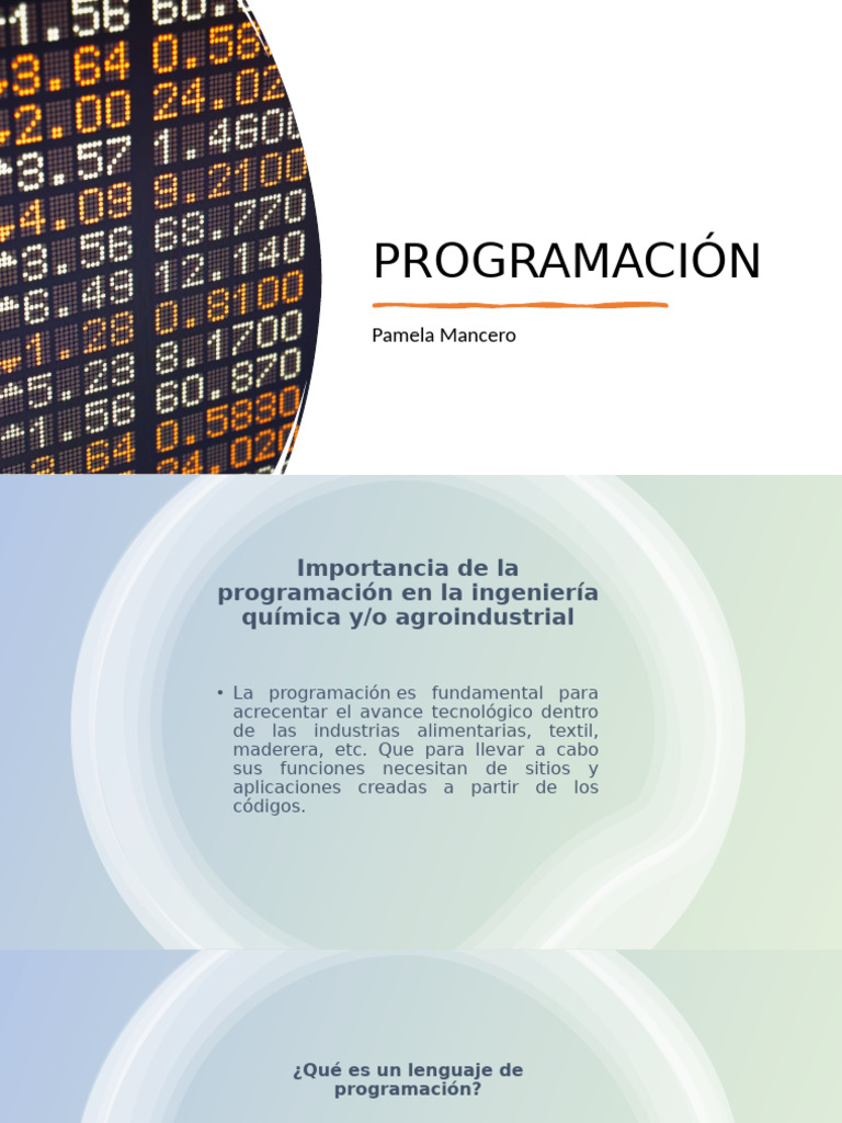 Importancia de la Programación en Ingeniería | PDF