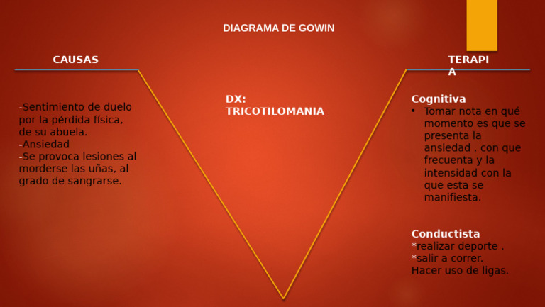 Diagrama de Gowin | PDF