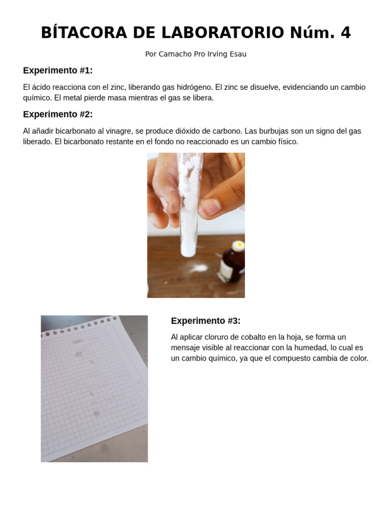BÍTACORA DE LABORATORIO Núm | PDF