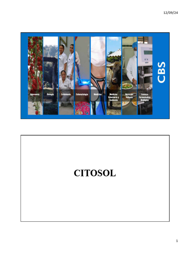 Jorge Alvarez D 51471c6s7qvmdngfti6p Citosol Compressed | PDF | Autosuperación