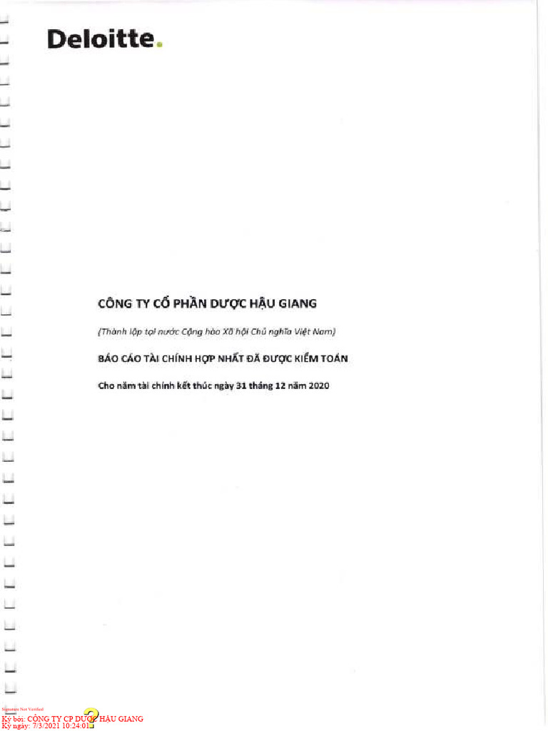 DHG Baocaotaichinh 2020 Kiemtoan Hopnhat | PDF