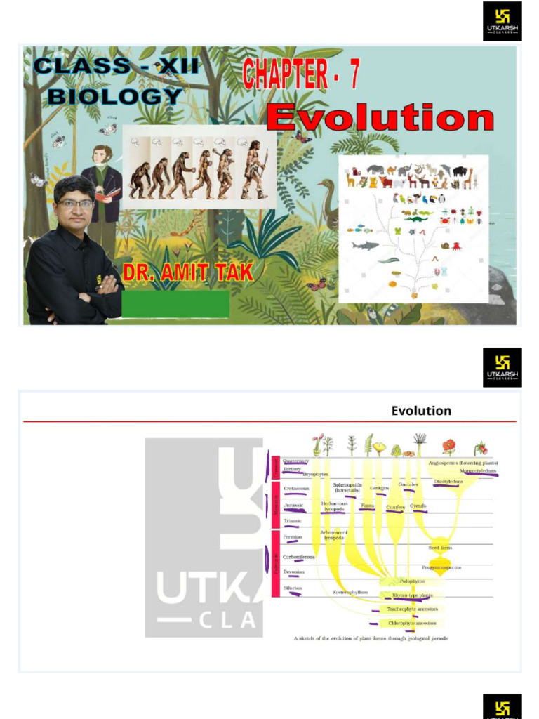 Part - 11 - Evolution of Man & Problem Solving Day | PDF