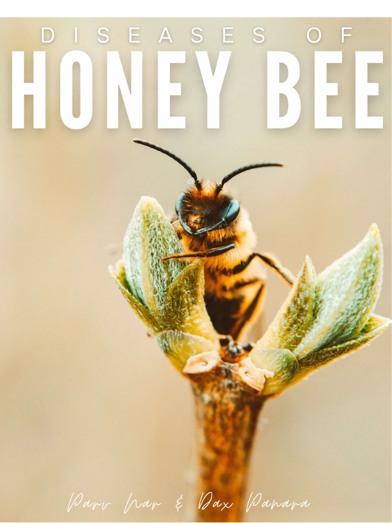Honey bees | PDF | Honey Bee | Beekeeping