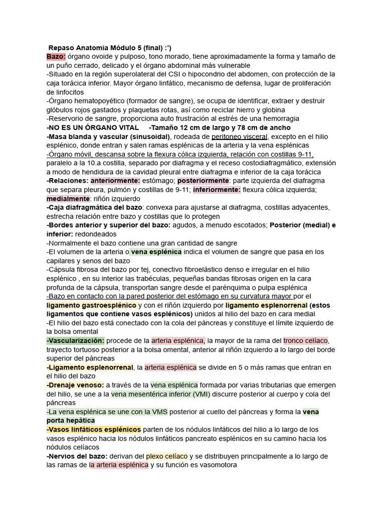 Repaso Anatomia Módulo 5 | PDF | Hígado | Pelvis