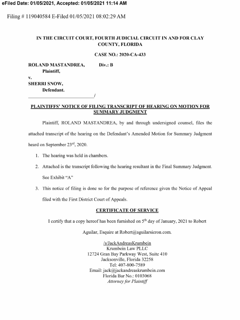 Summary Judgement Transcript | PDF