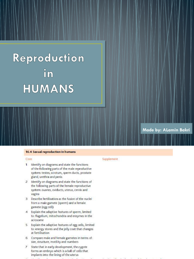 chapter 16 Reproduction in humans | PDF | Menstrual Cycle | Luteinizing Hormone