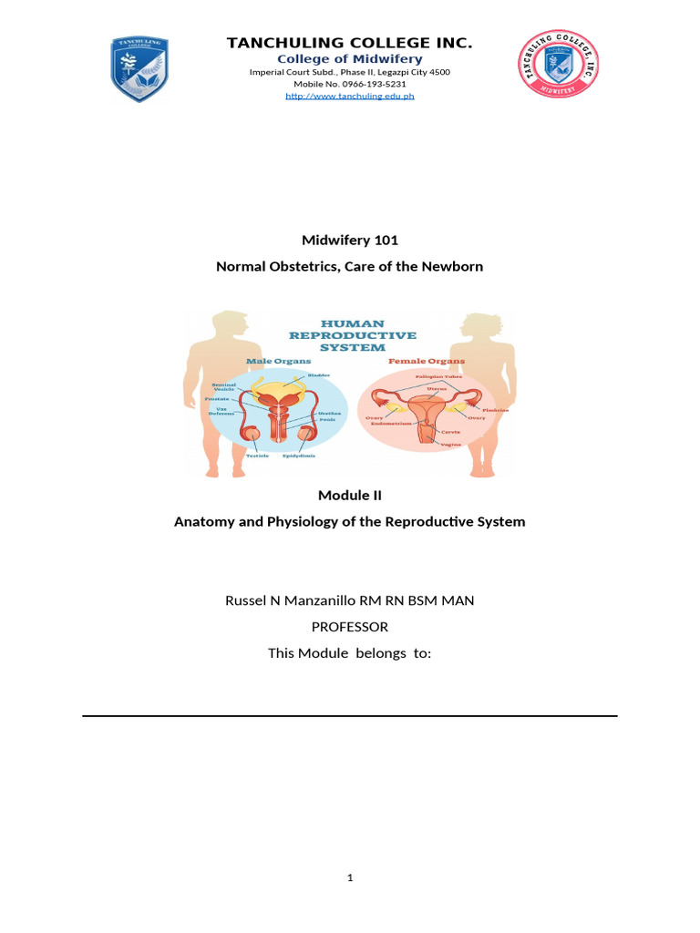 Mid 101 Module | PDF | Pelvis | Uterus