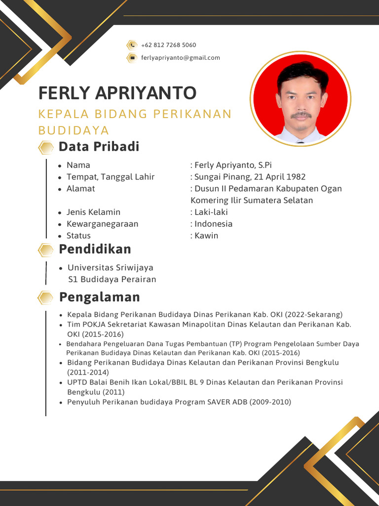 Portofolio Kak Ferly Fixx | PDF