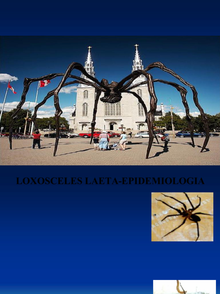Loxoscelismo Clasesurpcopiajunio2009 090708122538 Phpapp01 | PDF ...