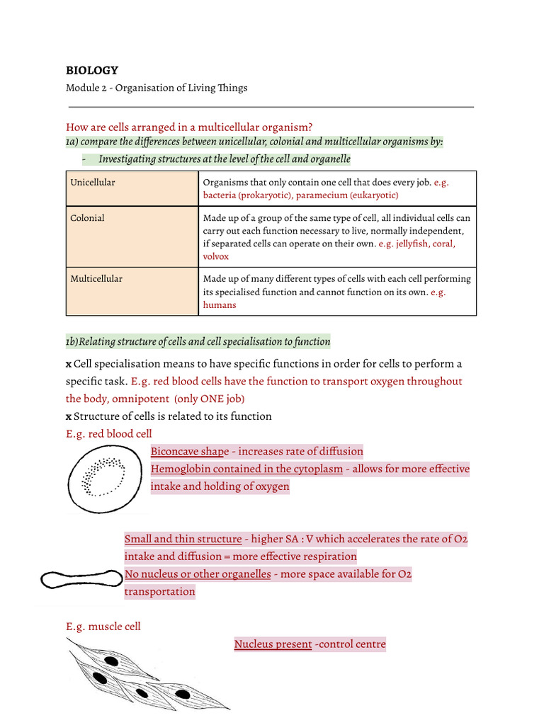 Biology Module 2 Notes 64d3930d82077 | PDF | Digestion | Pollen Biology Module 2 Notes 64d3930d82077 | PDF | Digestion | Pollen