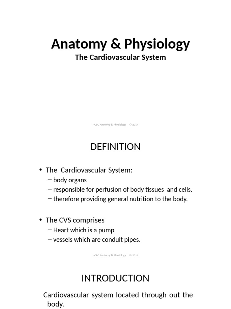 Understanding the Cardiovascular System | PDF | Heart Valve | Heart