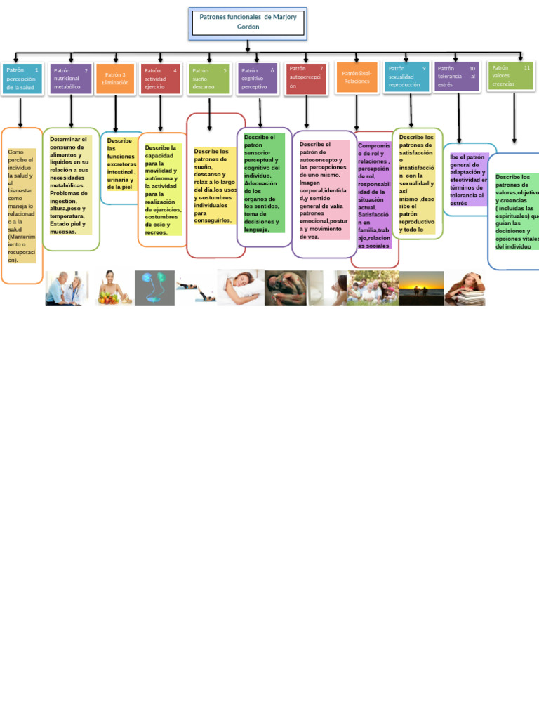 Mapa conceptual de patrones funcionales | PDF | Percepción | Ciencias del comportamiento