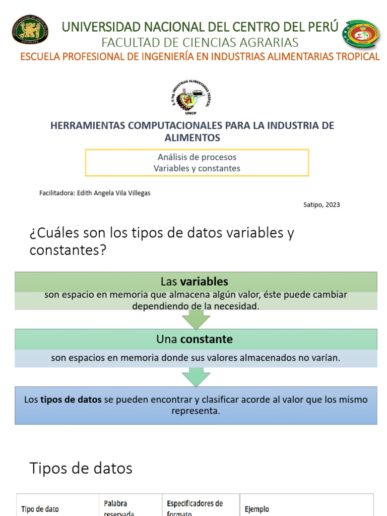Proceso S | PDF | Tipo de datos | Variable (informática)
