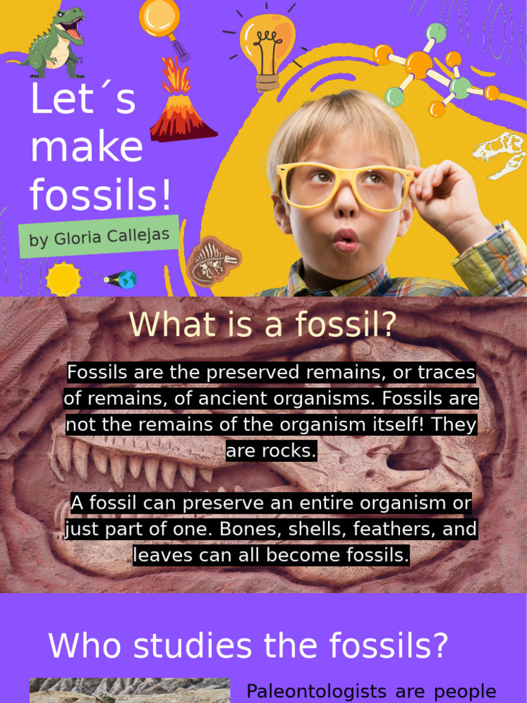 Fossil experiment | PDF | Fossil | Paleontology