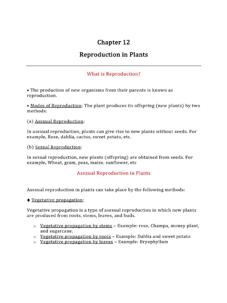 Repro Class 7 | PDF