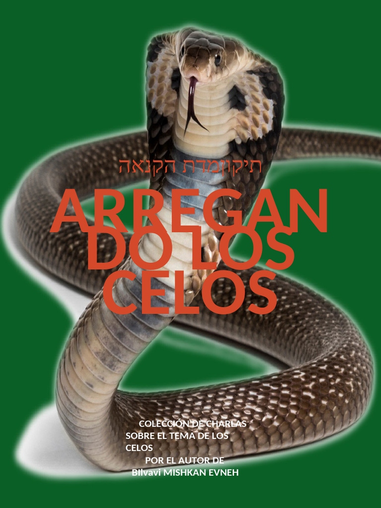 Bilvavi.arreglanndo los celos | PDF | Celos | Placer