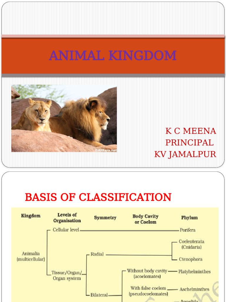Chapter 4 Animal Kingdom | PDF | Vertebrates