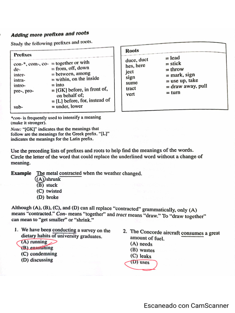Prefixes and Roots | PDF