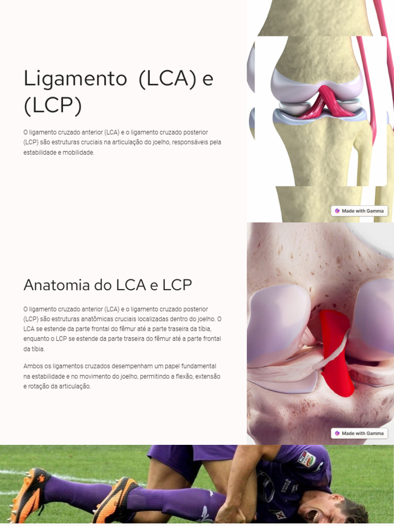 Ligamento-LCA-e-LCP | PDF | Joelho | Sistema Locomotor