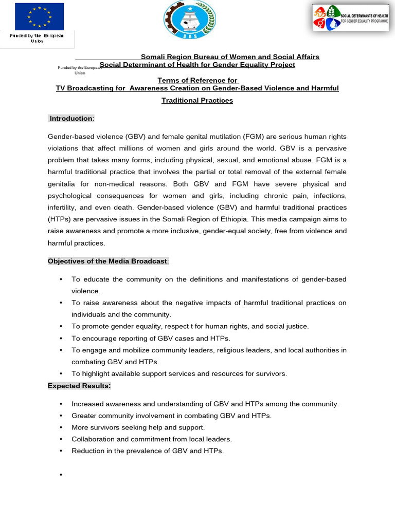 ToR. Radio Spot Broadcasting. Somali Region Bureau of Women and Social ...