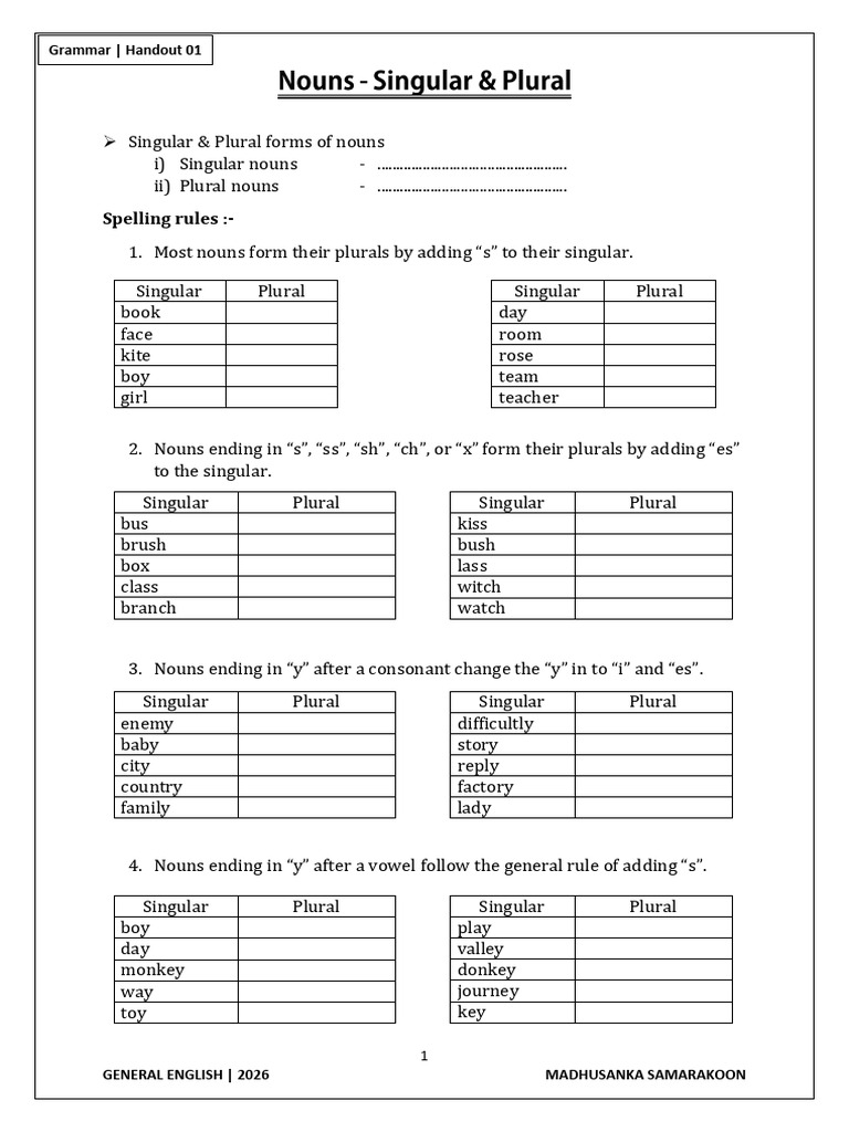 Handout 01 Nouns - Singular & Plural (2026 Gen Eng) | PDF | Plural ...